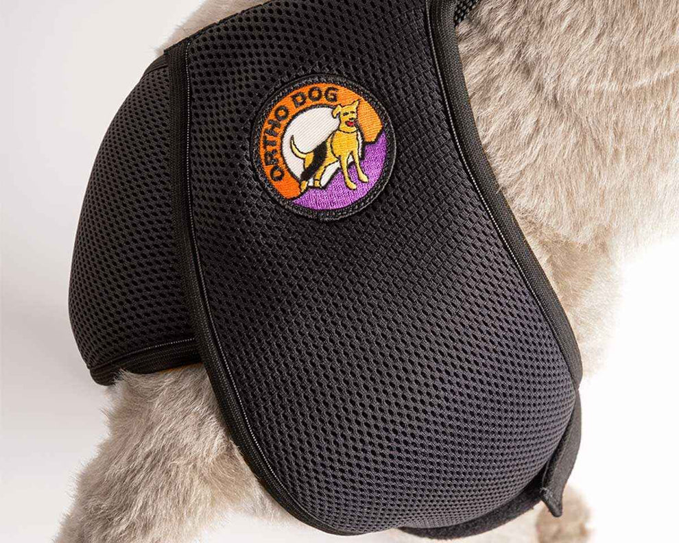Dog Hip Brace - Hip Hound Brace for Canine Comfort and Support – Ortho Dog