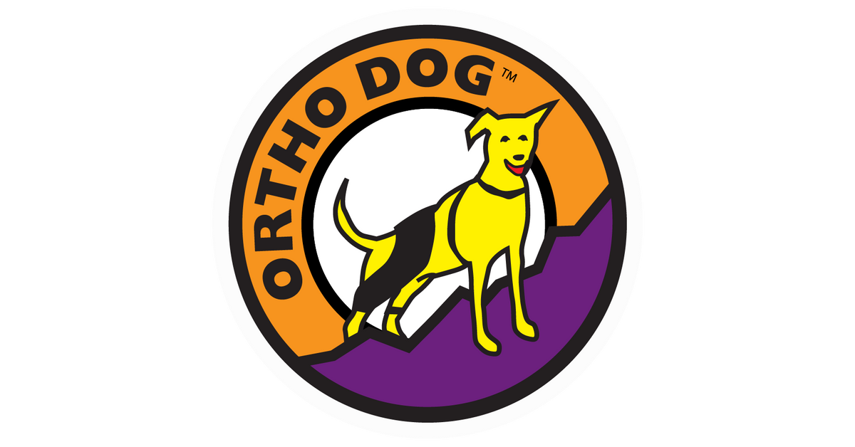 Understanding Injuries – Ortho Dog